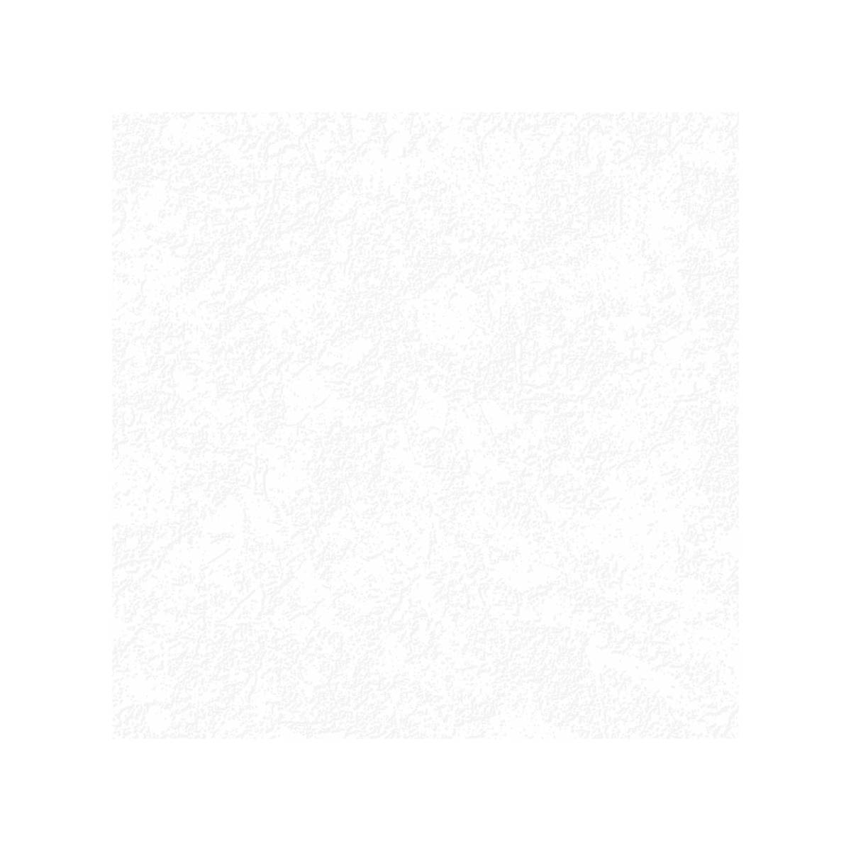 PISO BARRANQUILLA BLANCO 50X50 CM – Ambientes Cerámicos